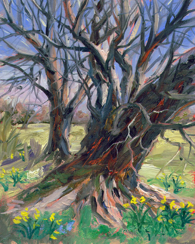 Gnarly Tree - oil, in